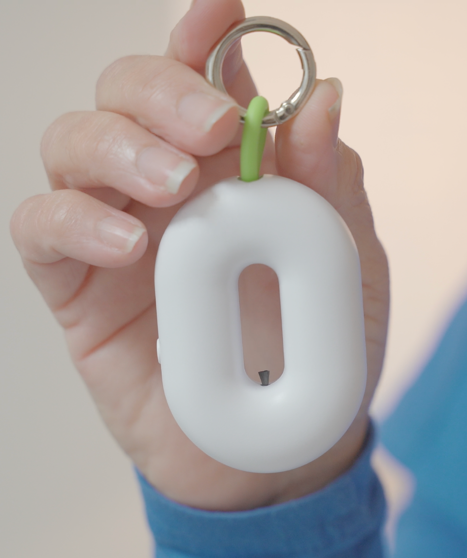 Ionic Medallion (Keychain) — Sleep Net Shop